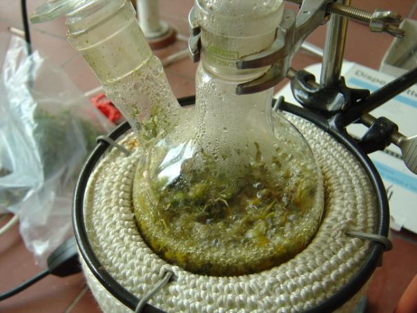 Wasserdampfdestillation